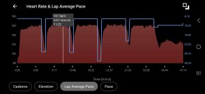 10 Different Types Of Runs For 2025