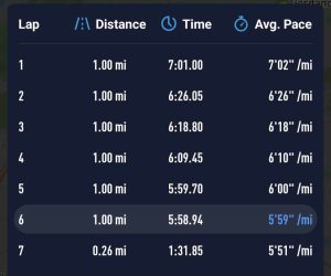 10 Different Types Of Runs For 2025