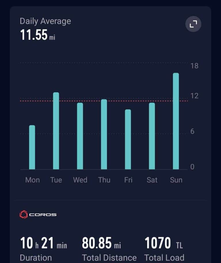 Ultimate Zone 2 Training Plan: Boost Endurance and Burn Fat