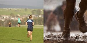 What Is Cross Country Running? A Beginner’s Guide